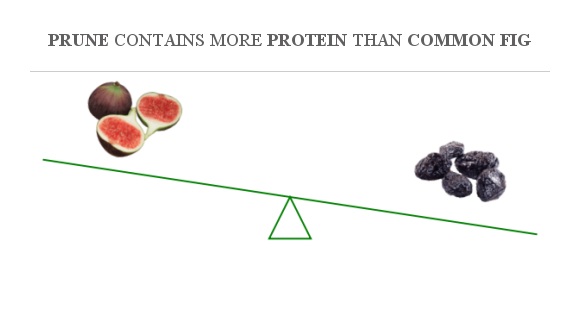 Compare Protein in Figs to Protein in Prunes