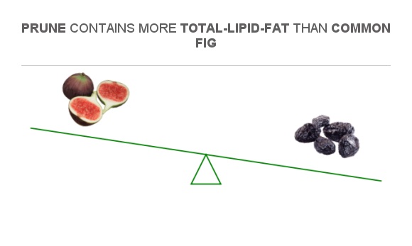 Compare Fats in Figs to Fats in Prunes