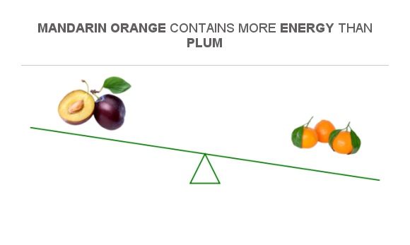 Compare Calories in Plum to Calories in Mandarin orange Compare Calories in Plum to Calories in Mandarin orange