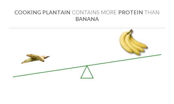 Compare Protein in Plantain to Protein in Banana