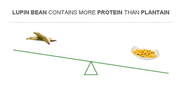 Compare Protein in Plantain to Protein in Lupin Bean