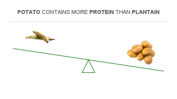Compare Protein in Plantain to Protein in Potato