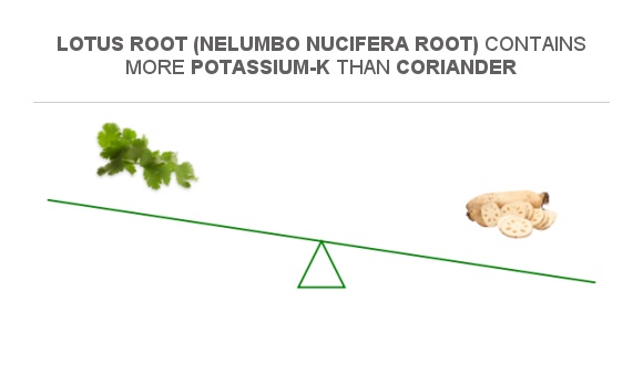 Compare Potassium in Coriander to Potassium in Lotus root