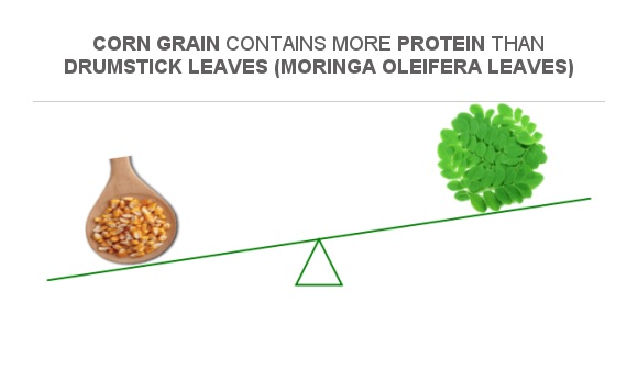 Compare Protein in Corn grain to Protein in Drumstick leaves