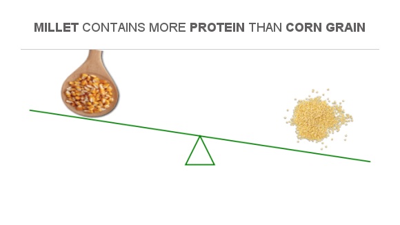 Compare Protein in Corn grain to Protein in Millet