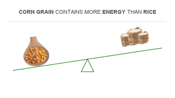 Compare Calories in Corn grain to Calories in Rice