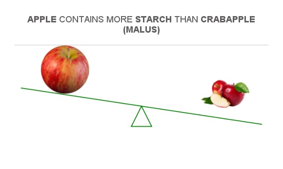 Compare Starch in Crabapple (Malus) to Starch in Apple