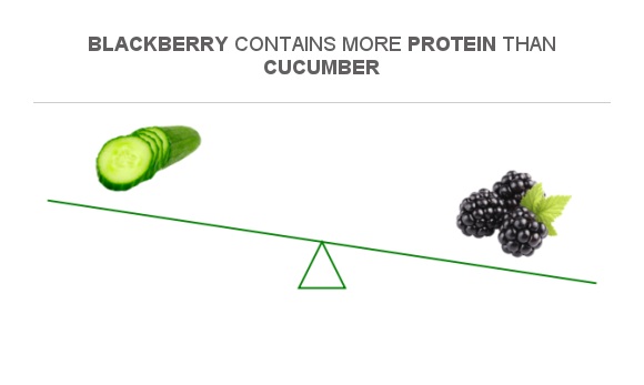 Compare Protein in Cucumber to Protein in Blackberry