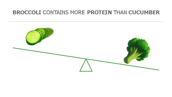 Compare Protein in Cucumber to Protein in Broccoli