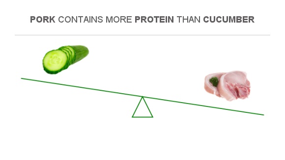 Compare Protein in Cucumber to Protein in Pork