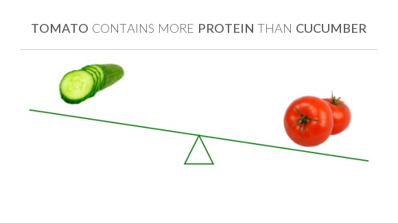 Compare Protein in Cucumber to Protein in Tomato