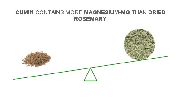 Compare Magnesium in Cumin to Magnesium in Dried rosemary