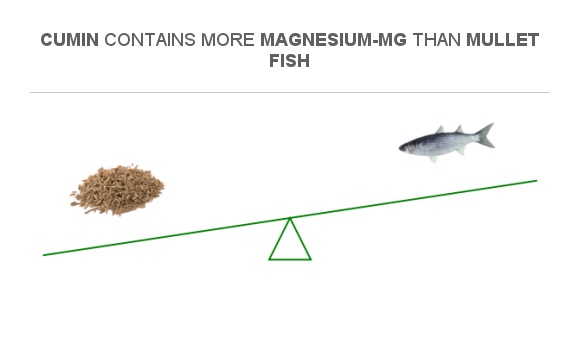 Compare Magnesium in Cumin to Magnesium in Mullet fish