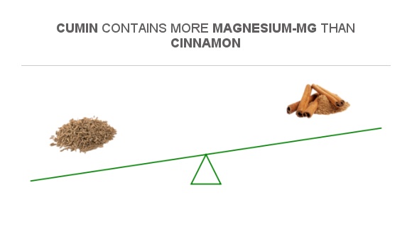 Compare Magnesium in Cumin to Magnesium in Cinnamon
