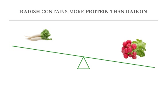Compare Protein in Daikon to Protein in Radish