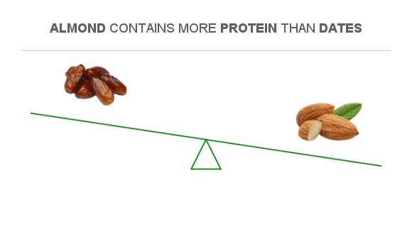 Compare Protein in Dates to Protein in Almonds