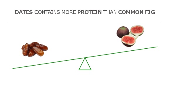 Compare Protein in Dates to Protein in Figs