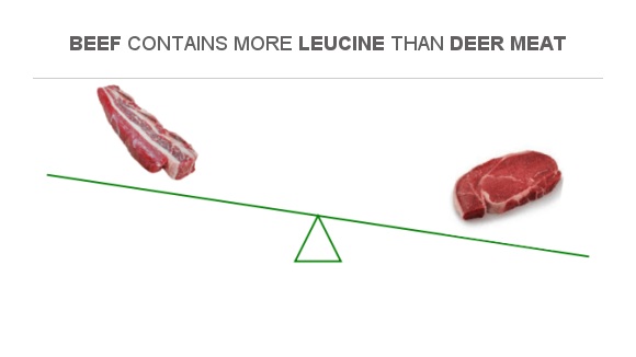 Compare Leucine in Deer meat to Leucine in Beef