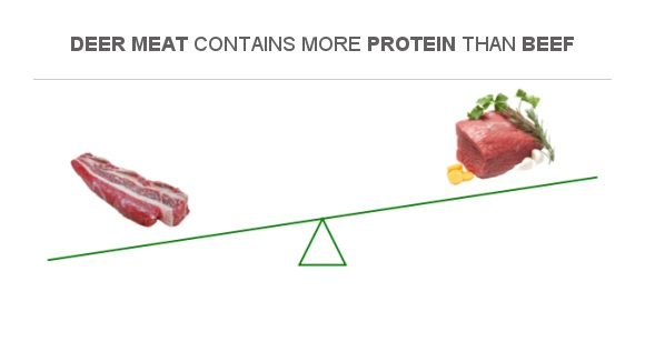 Compare Protein in Deer meat to Protein in Beef