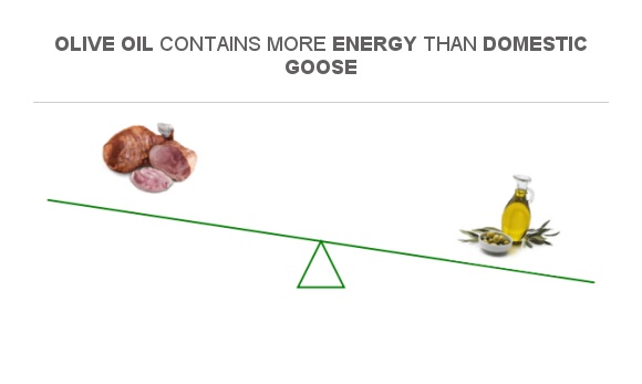 Compare Calories in Domestic goose to Calories in Olive oil