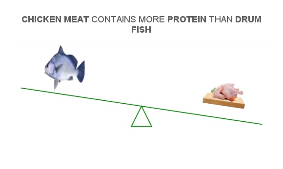Compare Protein in Drum fish to Protein in Chicken meat