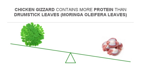 Compare Protein in Drumstick leaves to Protein in Chicken gizzard