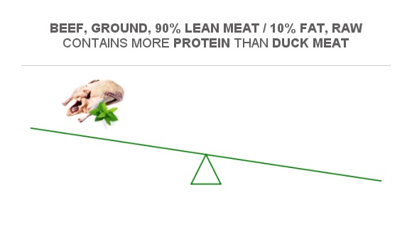Compare Protein in Duck meat to Protein in Beef, ground, 90% lean meat ...