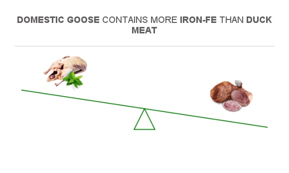 Compare Iron in Duck meat to Iron in Domestic goose