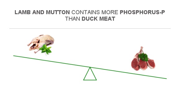 Compare Phosphorus in Duck meat to Phosphorus in Lamb