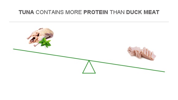 Compare Protein in Duck meat to Protein in Tuna
