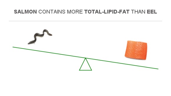 Compare Fats in Eel to Fats in Salmon