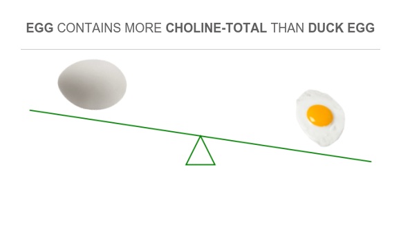 Compare Choline in Duck egg to Choline in Egg