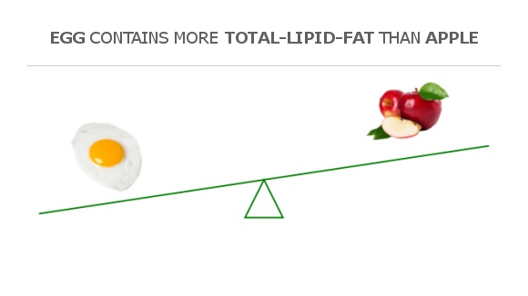 Compare Fats in Egg to Fats in Apple