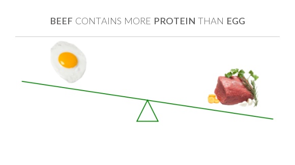 Compare Protein in Egg to Protein in Beef