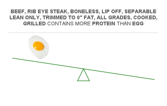 Compare Protein in Egg to Protein in Beef, rib eye steak, boneless, lip ...