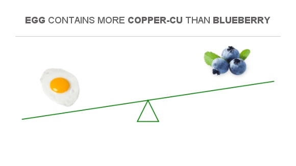 Compare Copper in Egg to Copper in Blueberry