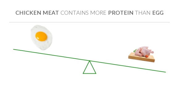 Compare Protein in Egg to Protein in Chicken meat