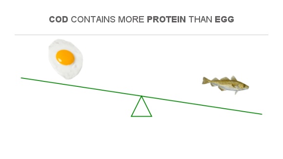 Compare Protein in Egg to Protein in Cod