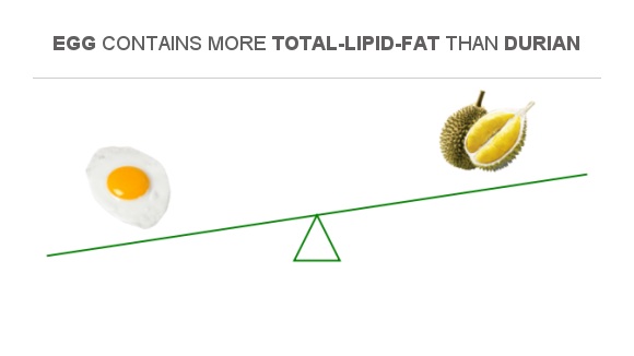 Compare Fats in Egg to Fats in Durian