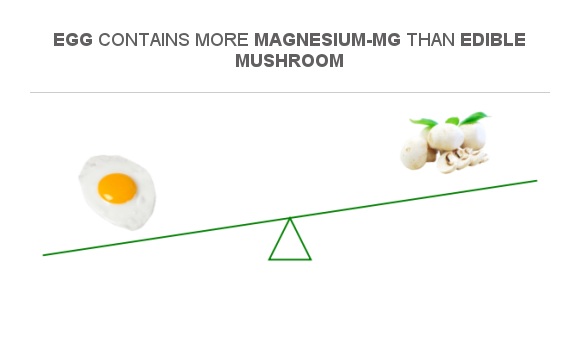 Compare Magnesium in Egg to Magnesium in Edible mushroom