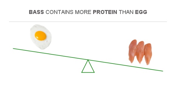 Compare Protein in Egg to Protein in Bass