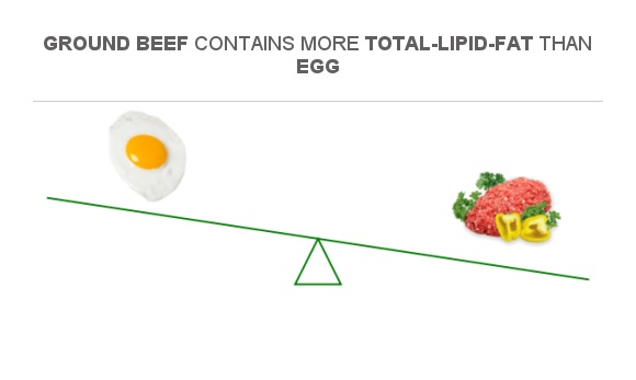 Compare Fats in Egg to Fats in Ground beef
