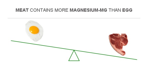 Compare Magnesium in Egg to Magnesium in Pork Meat