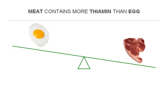 Compare Vitamin B1 in Egg to Vitamin B1 in Pork Meat