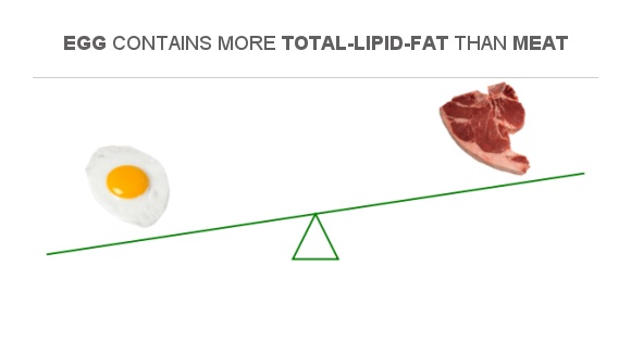 Compare Fats in Egg to Fats in Pork Meat