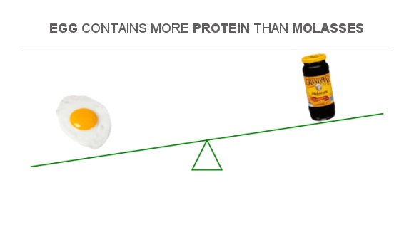 Compare Protein in Egg to Protein in Molasses