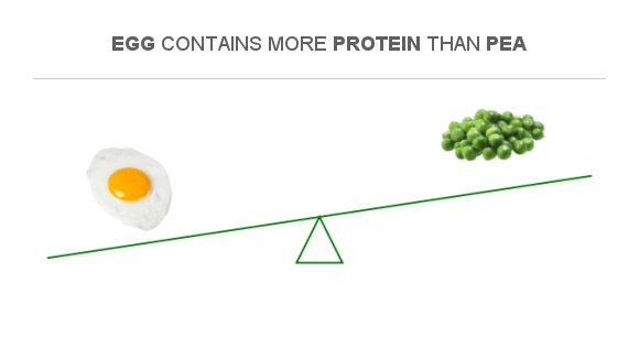 Compare Protein in Egg to Protein in Peas