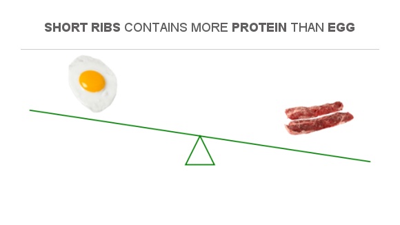 Compare Protein in Egg to Protein in Short ribs
