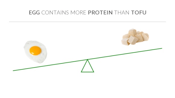 Compare Protein in Egg to Protein in Tofu