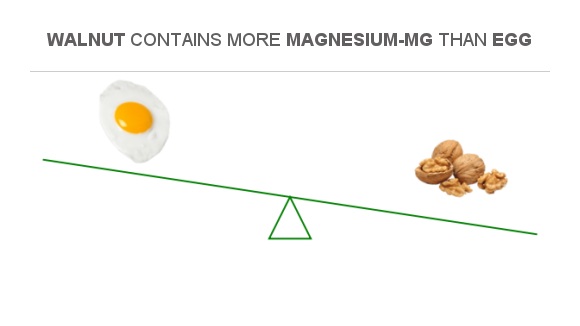 Compare Magnesium in Egg to Magnesium in Walnut